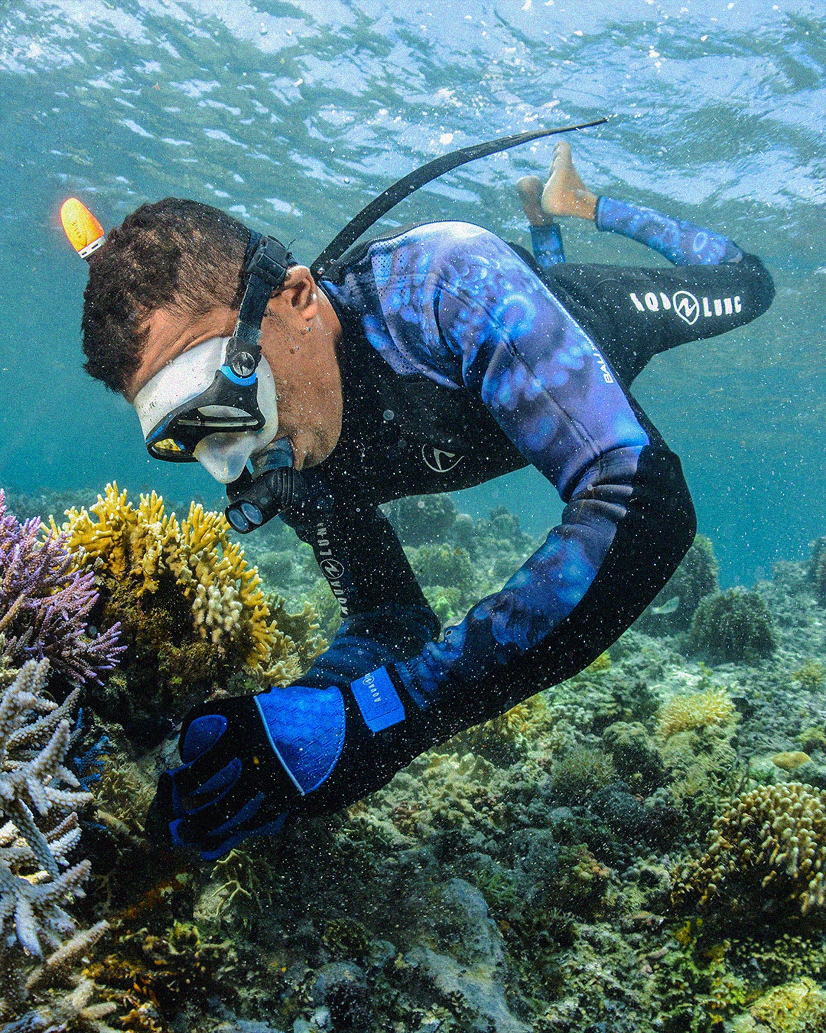 CORAIL GUARDIAN – CORAIL°